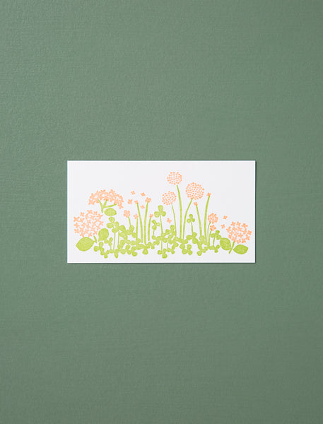 Letterpress Label Cards // Little Garden | everyday needs